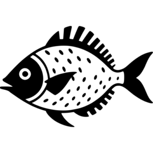 Fish SVG Images - Free & Premium Files - svgcollections.com