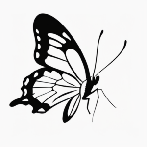 Butterfly SVG Images - Free & Premium Files - svgcollections.com