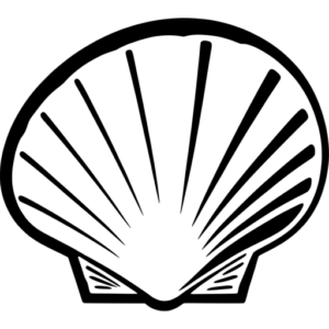 Seashell SVG Images - Free & Premium Files - svgcollections.com