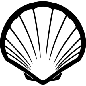 Seashell SVG Images - Free & Premium Files - svgcollections.com