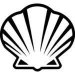 Seashell SVG Images - Free & Premium Files - svgcollections.com