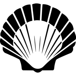Seashell SVG Images - Free & Premium Files - svgcollections.com