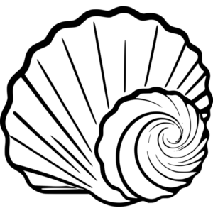 Seashell SVG Images - Free & Premium Files - svgcollections.com