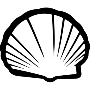 Seashell SVG Images - Free & Premium Files - svgcollections.com