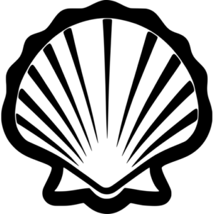 Seashell SVG Images - Free & Premium Files - svgcollections.com