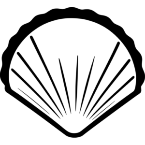 Seashell SVG Images - Free & Premium Files - svgcollections.com