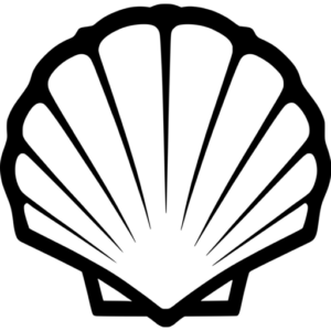 Seashell SVG Images - Free & Premium Files - svgcollections.com