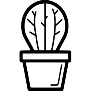 Cactus SVG Images - Free & Premium Files - svgcollections.com