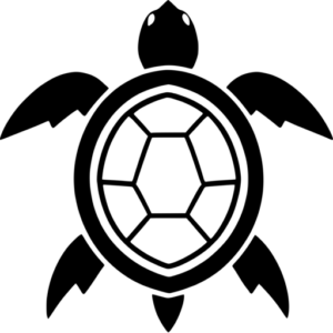 Turtle SVG Images - Free & Premium Files - svgcollections.com