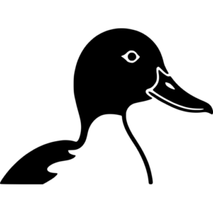 Simple Duck Head SVG - svgcollections.com