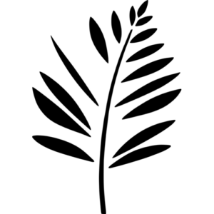 Elegant Fall Leaf Branch SVG - svgcollections.com