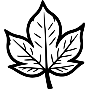 Fall Leaf Outline SVG - svgcollections.com