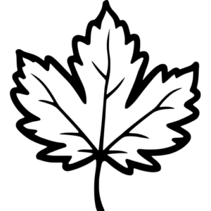 Fall Leaf Outline SVG - svgcollections.com