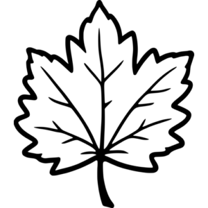 Single Fall Leaf Outline SVG - svgcollections.com