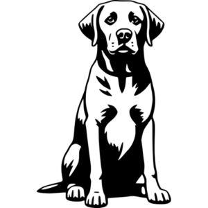 Labrador SVG Images - Free & Premium Files - svgcollections.com