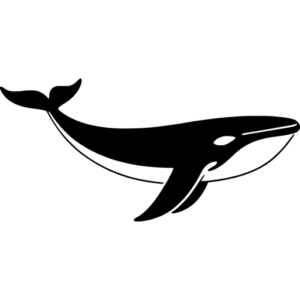 Whale SVG Images - Free & Premium Files - svgcollections.com
