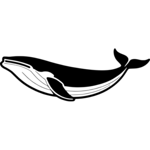 Whale SVG Images - Free & Premium Files - svgcollections.com